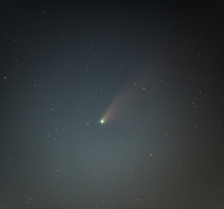 Comet Neowise from a Chennai terrace part 2 – Ficus Wildlife and ...